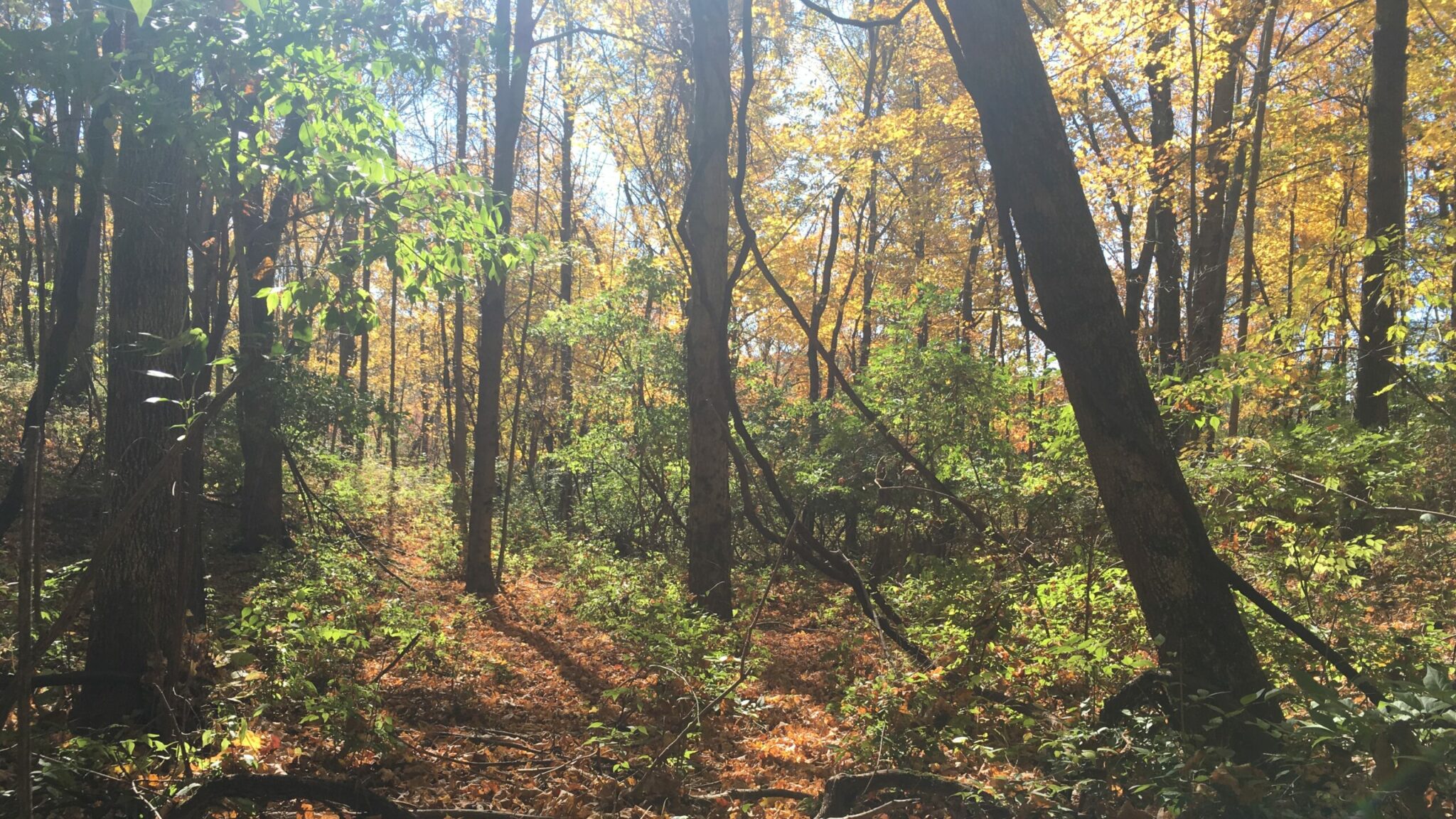 Nature Preserves | Columbus Recreation and Parks Department