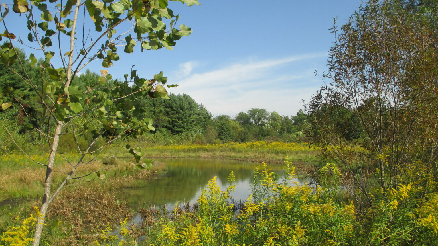 Nature Preserves | Columbus Recreation and Parks Department