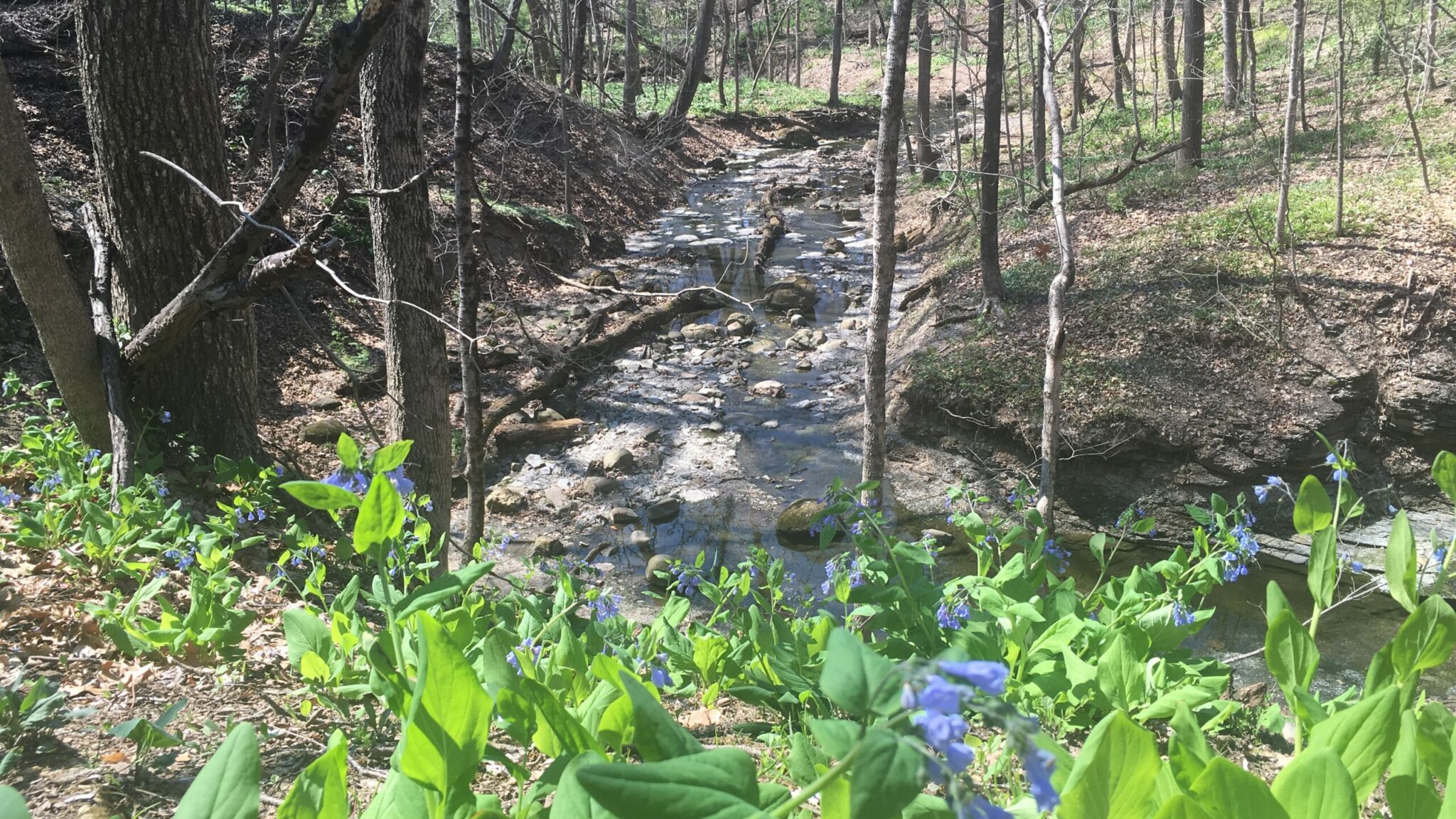Nature Preserves | Columbus Recreation and Parks Department