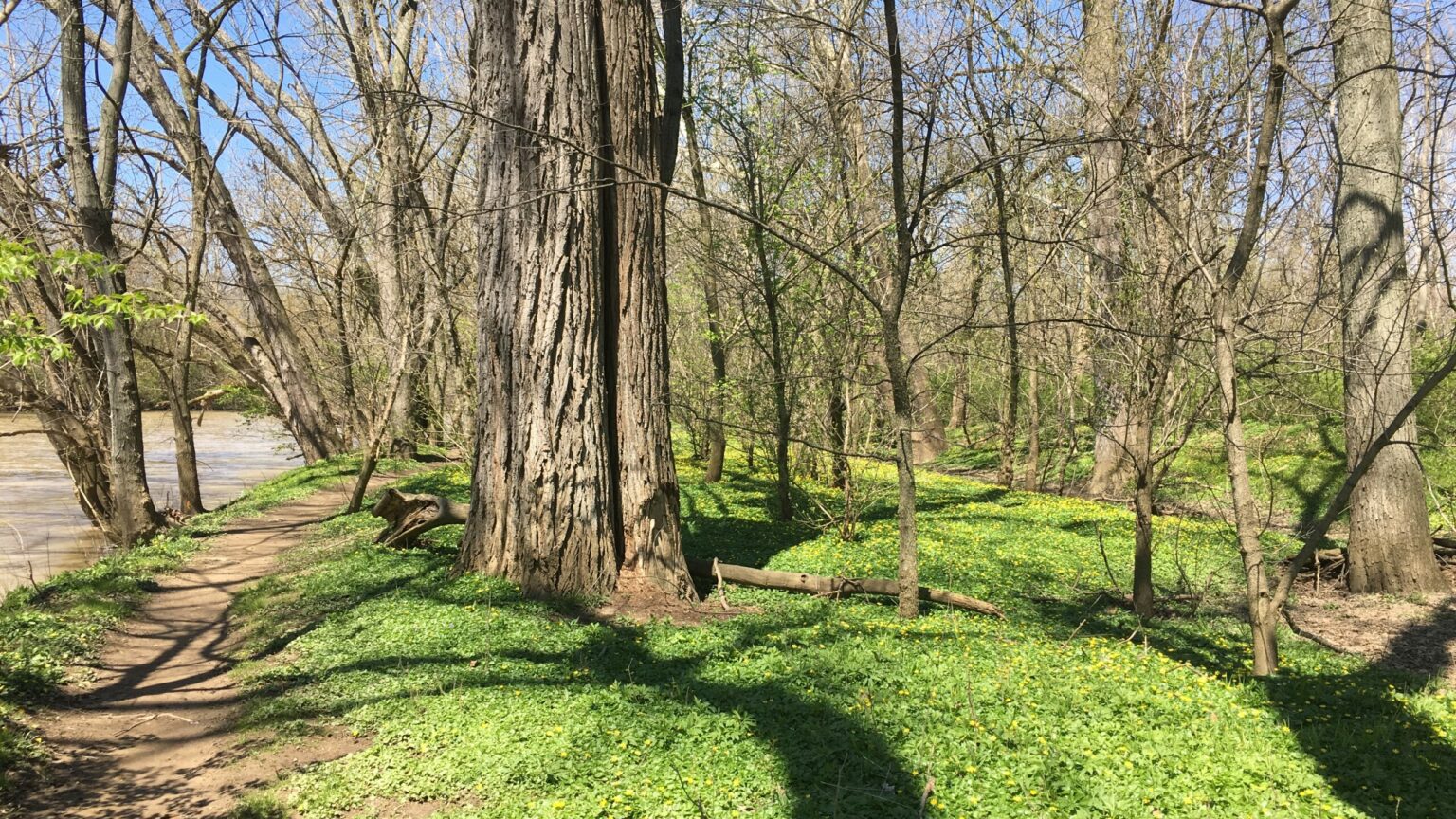 Nature Preserves | Columbus Recreation and Parks Department