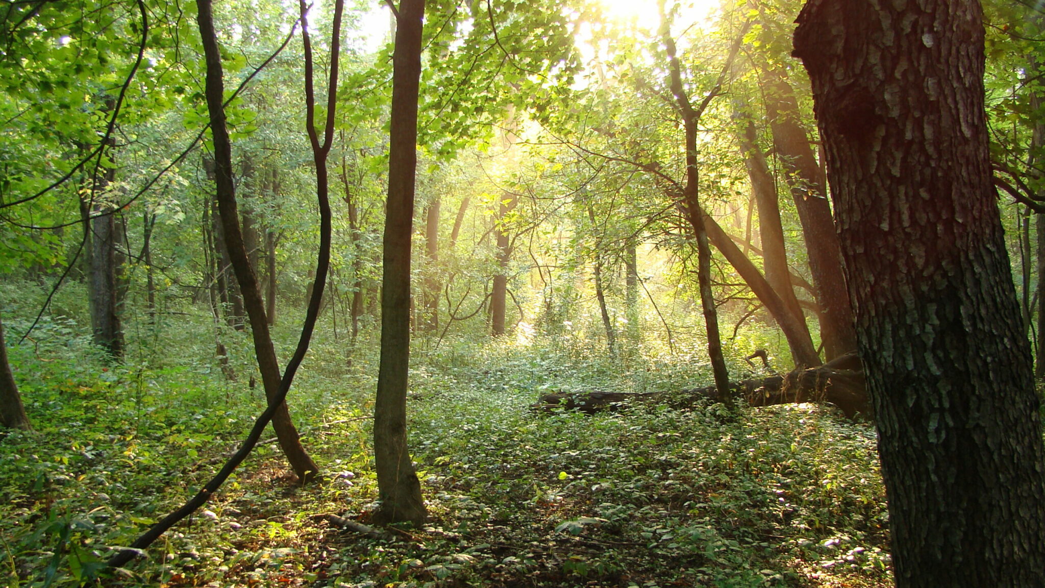 Nature Preserves | Columbus Recreation and Parks Department