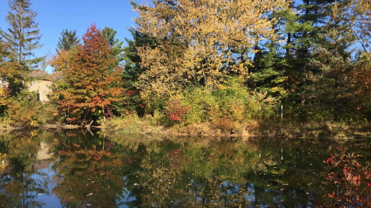 Nature Preserves | Columbus Recreation and Parks Department