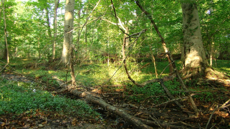 Nature Preserves | Columbus Recreation and Parks Department