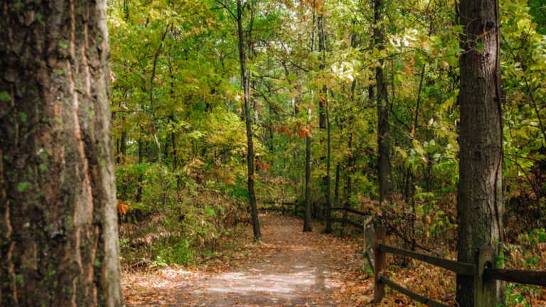 Nature Preserves | Columbus Recreation and Parks Department