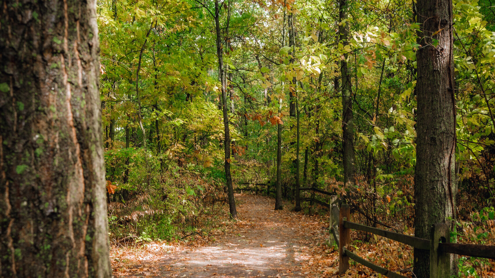 Nature Preserves | Columbus Recreation and Parks Department